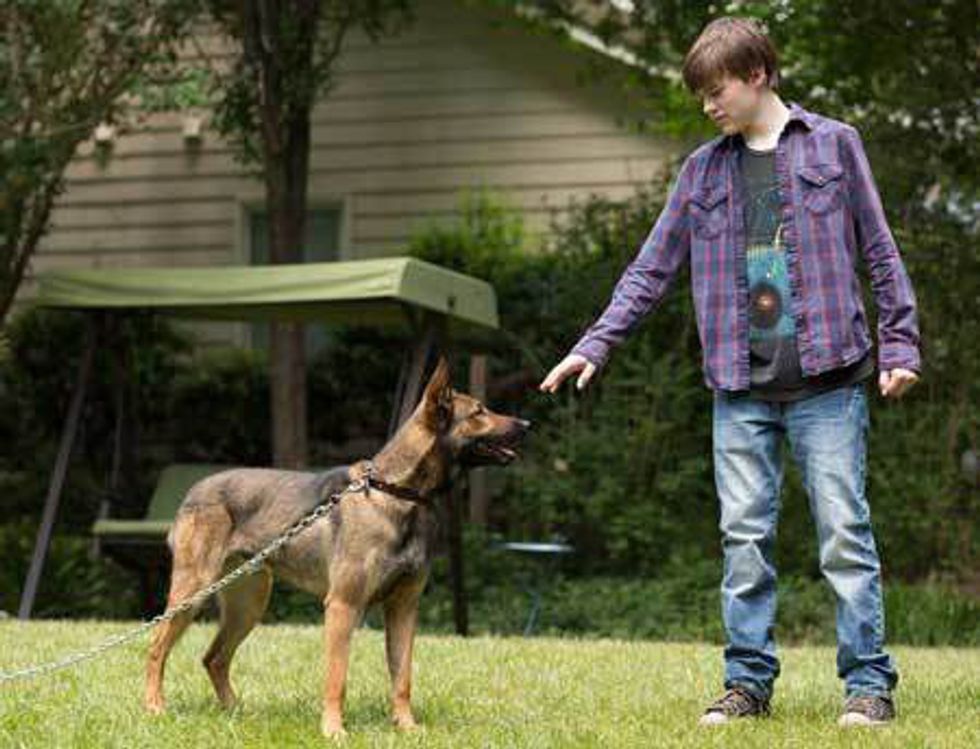 10 Films Featuring Dogs That Impact The Storyline As Much As Their ...