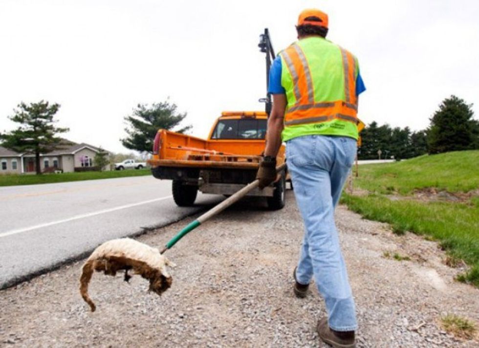 Can You Believe These Jobs Actually Exist?