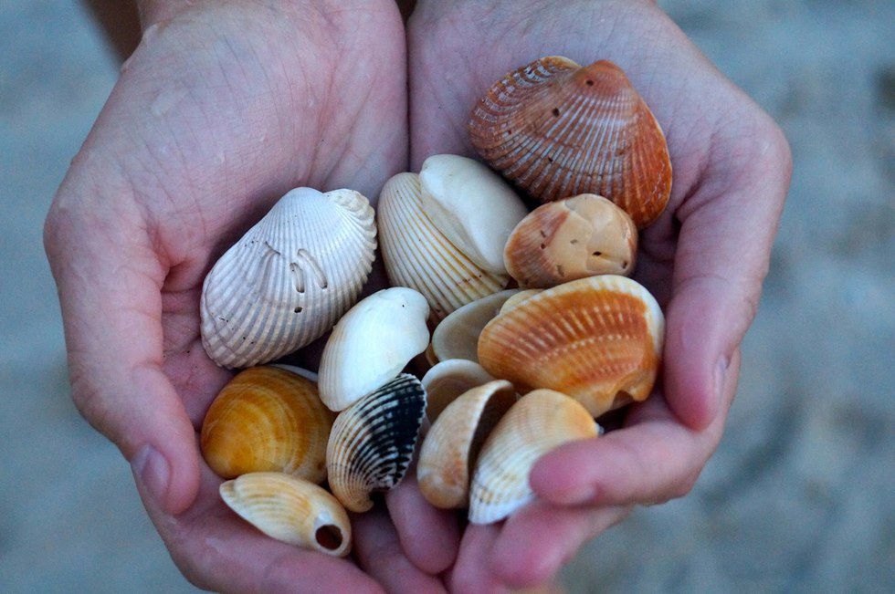 9 Reasons Why Topsail Island is the Best Beach in NC