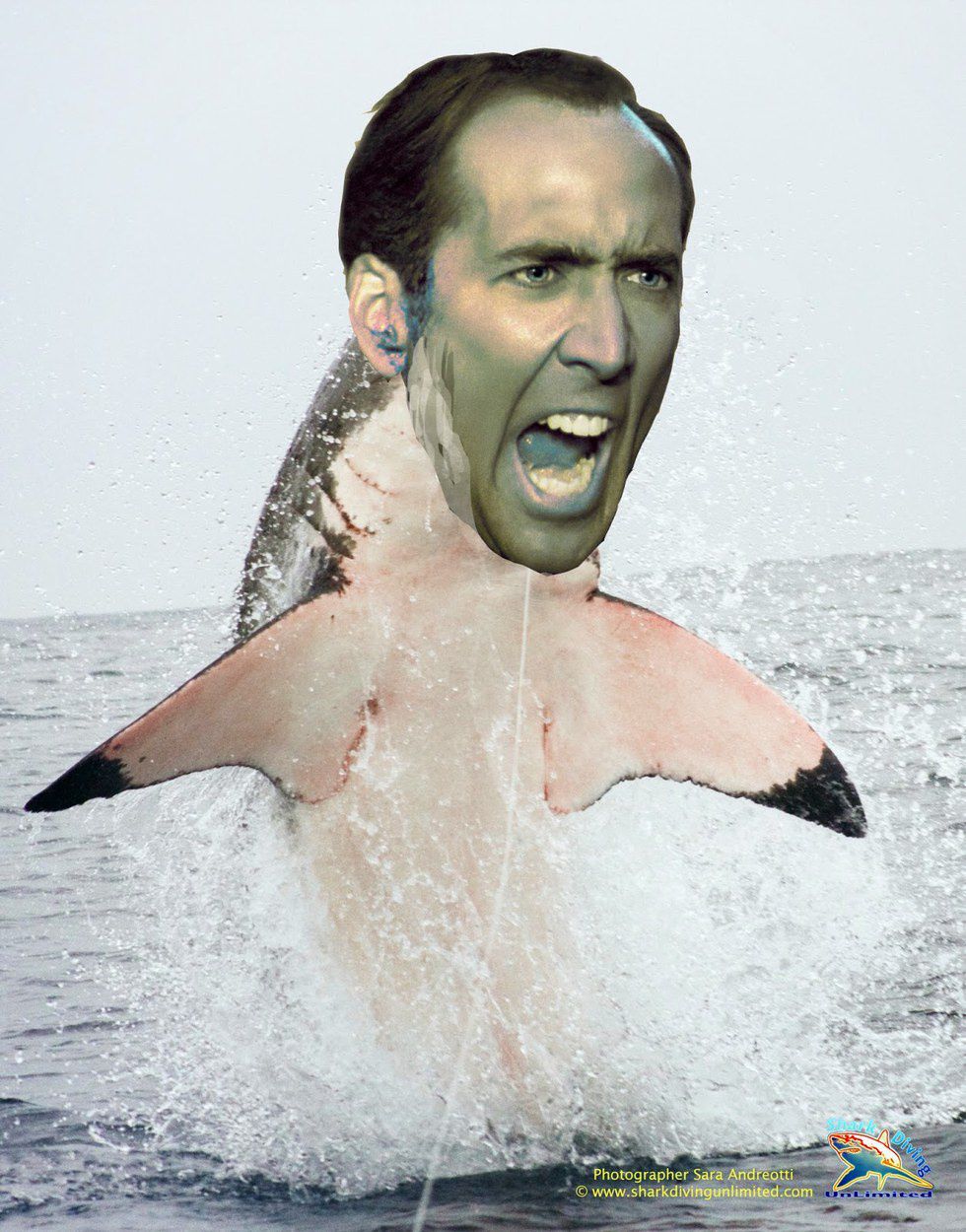 14 Pictures Of Nicolas Cage Reimagined As Food