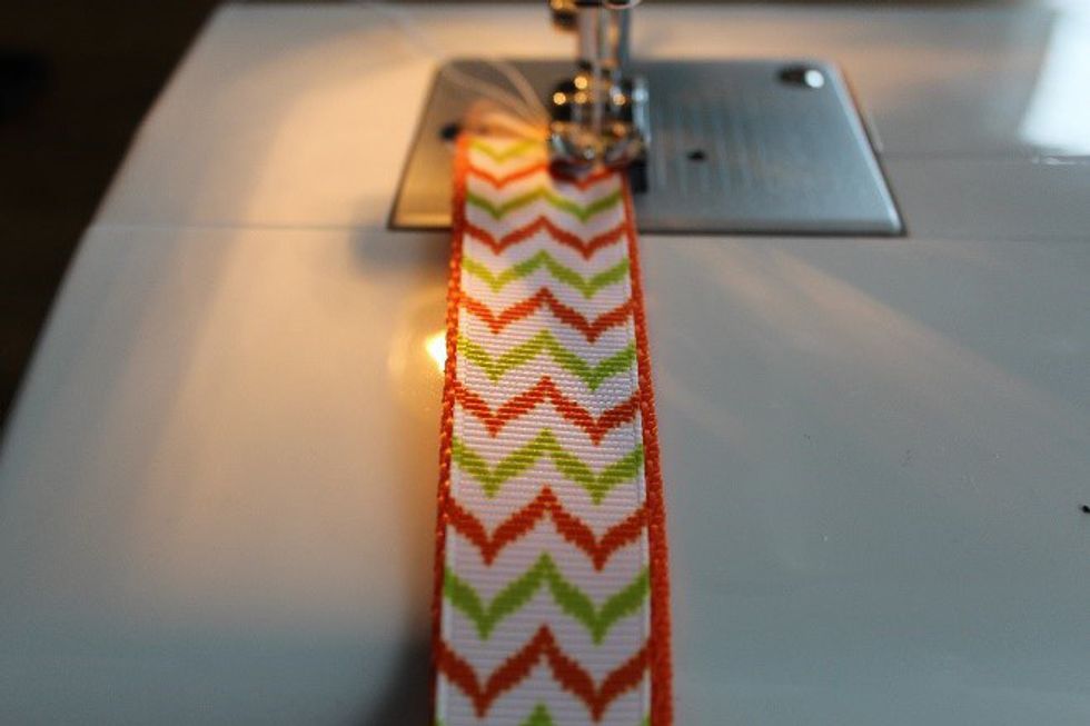 How To Make A DIY Dog Collar In 8 Easy Steps