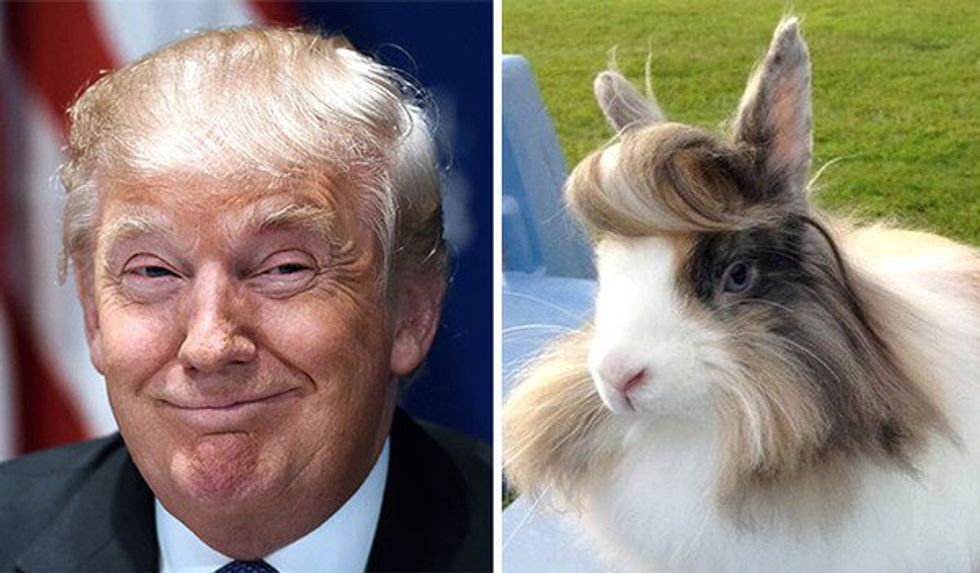 Who Wore It Better: Donald Trump Bad Hair Day Edition