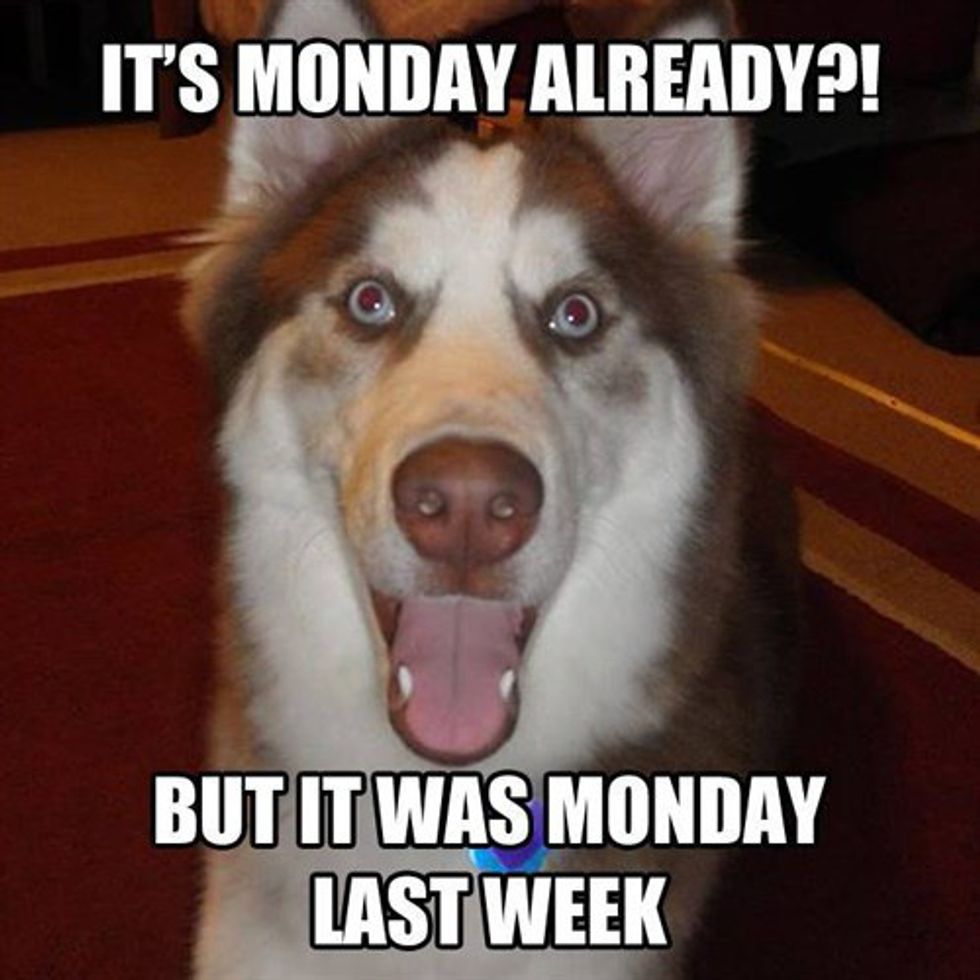 The Best Monday Memes To Get You Through The Week