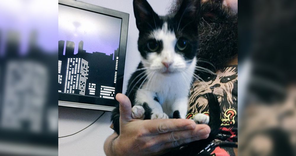 Doll-sized 13-year-old Cat Rescued From Death Row Tells Her Humans ...