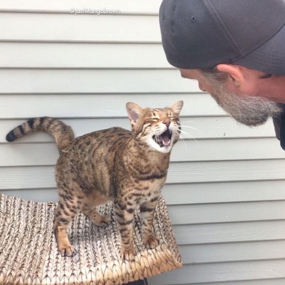 Cat Dad and His 'Son' Of 14 Years Share Incredible Bond In These ...