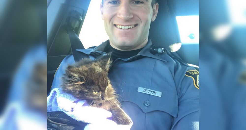 Officer Calms Frightened Kitten With "Kitty Voice" After Rescuing the ...