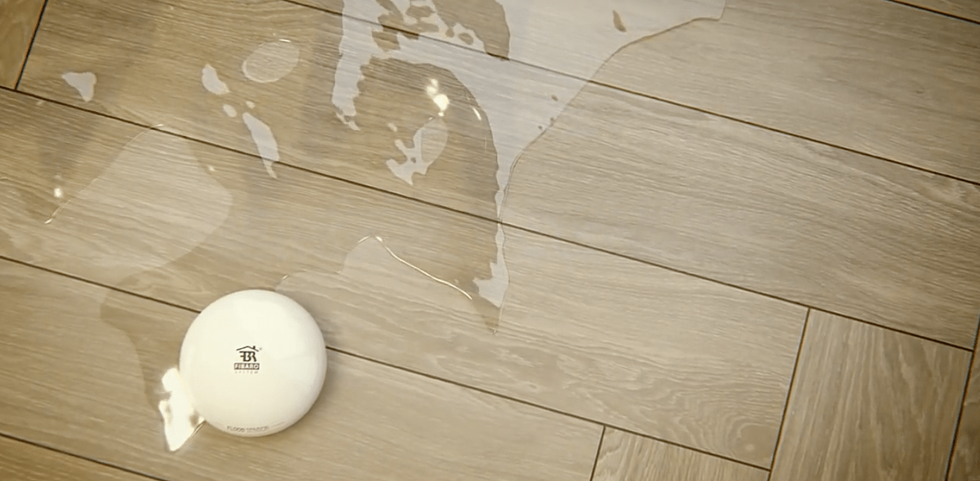 Fibaro Flood Sensor Review: HomeKit and Z-Wave leak detector - Gearbrain