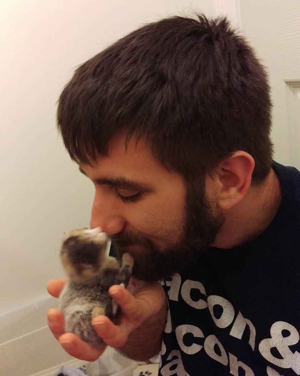 Couple Saves Tiny Calico Kitten Born with Cleft Lip and Turns Her Life ...