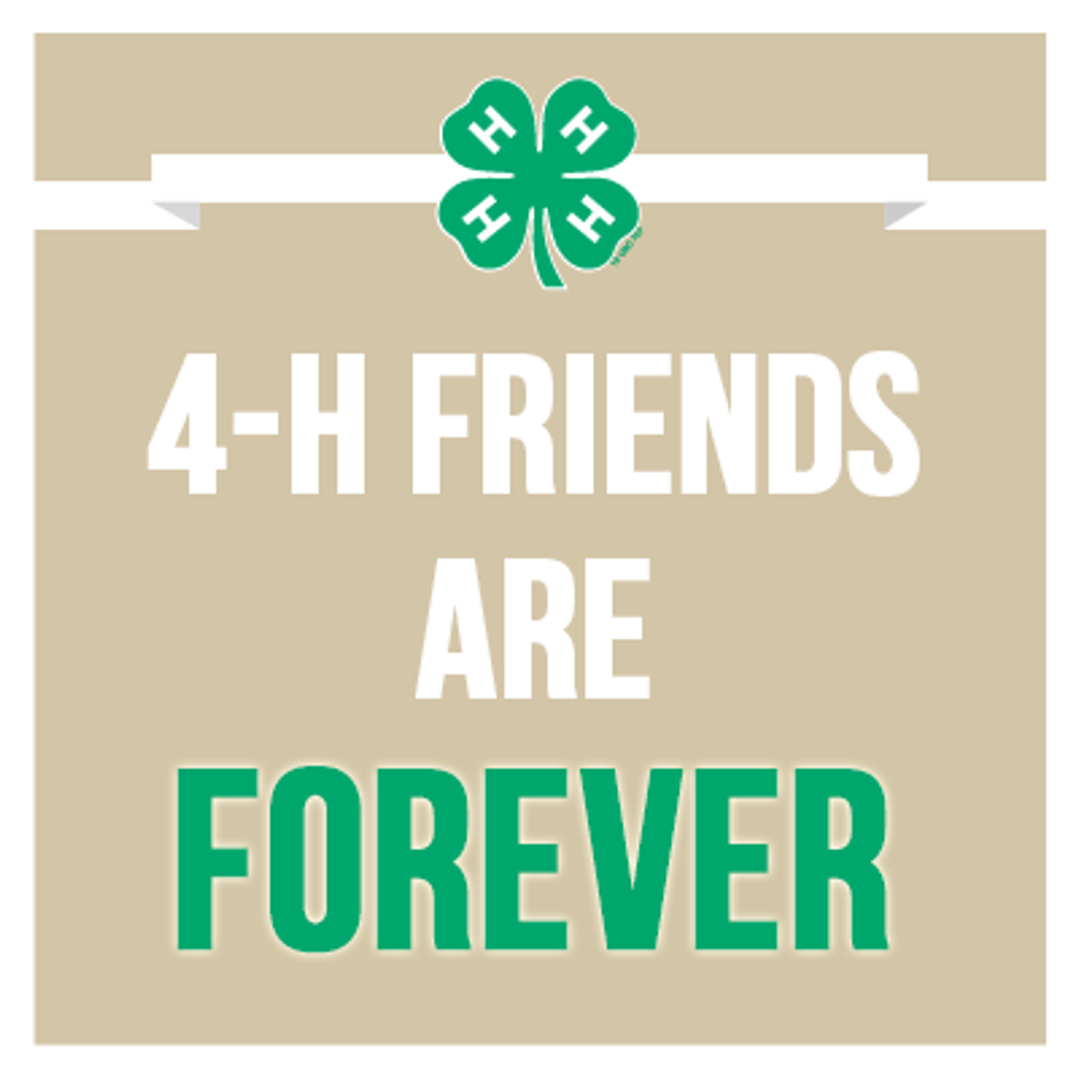 15 Life Lessons I’ve Learned As A 12 Year 4-H Member