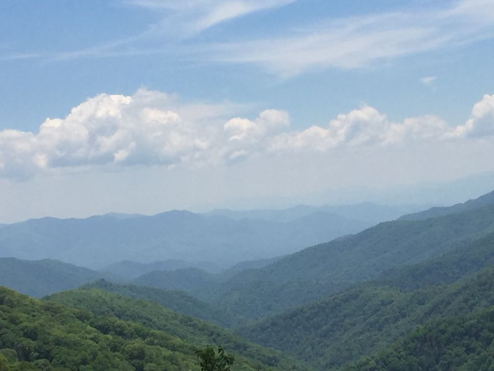 5 Things To Do In North Carolina This Spring