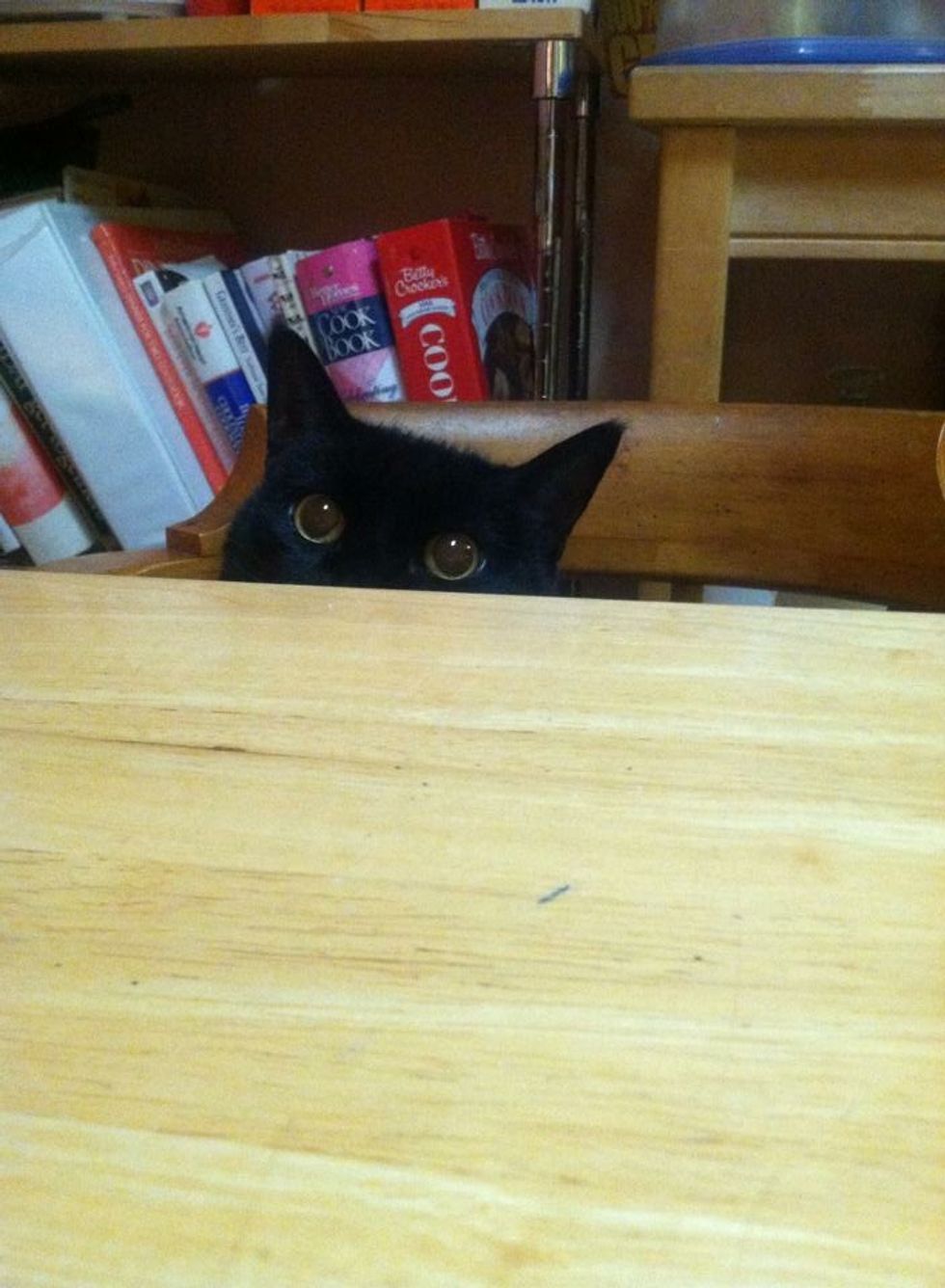 If You Think Black Cats Are Bad Luck, Then You're The Unlucky One