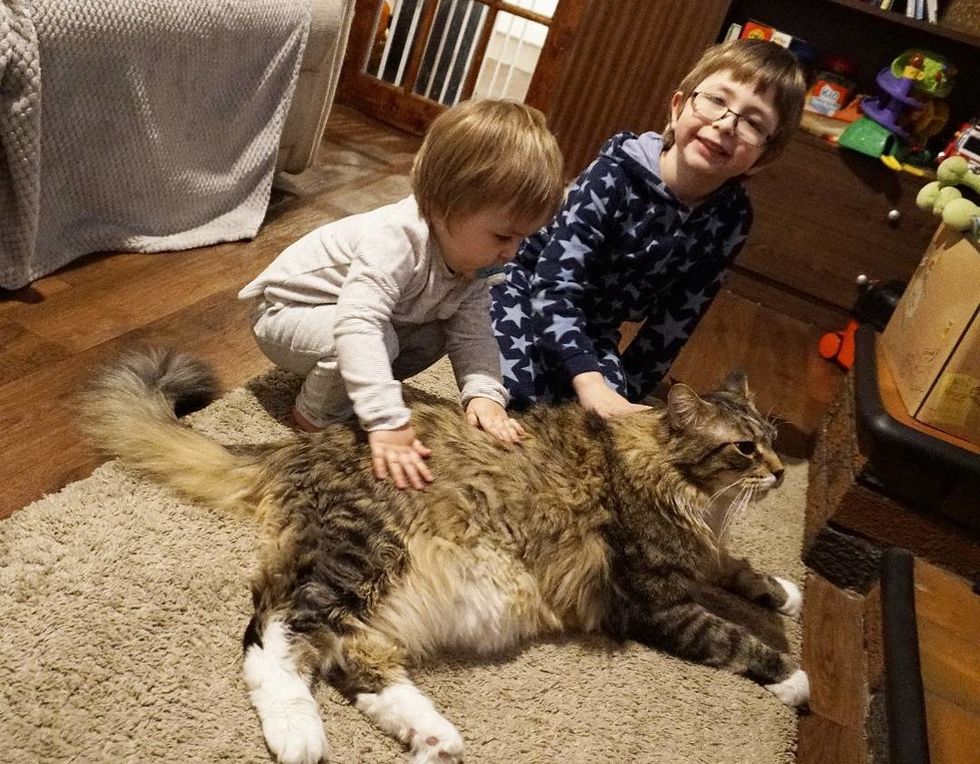 World's Biggest Maine Coon Watches Over His Tiny Brother - Love Meow