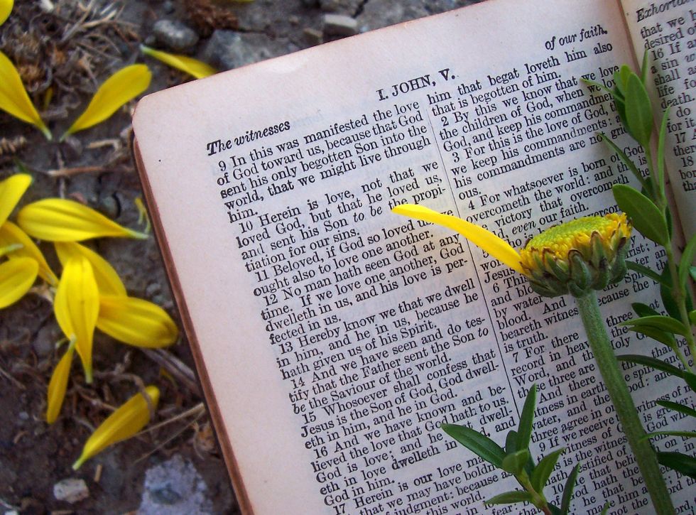 20 Bible Verses For The Exhausted And Weary