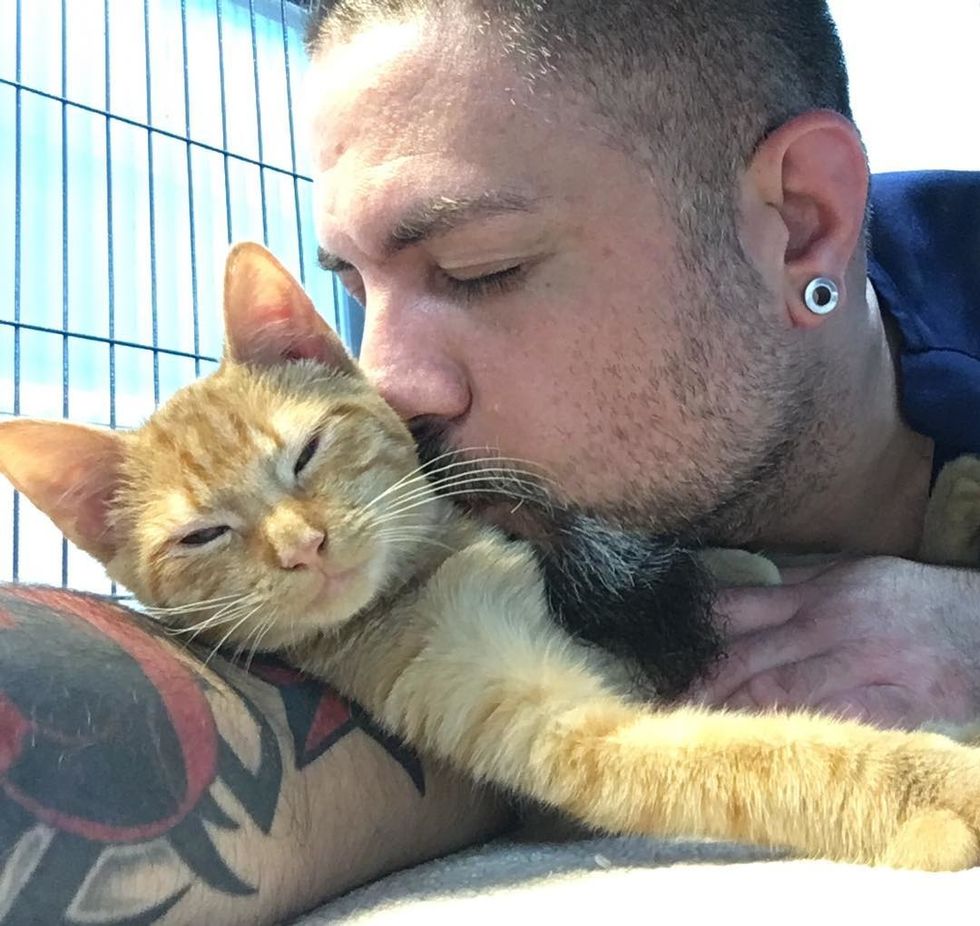 Man Has Best Job Where He Saves Cats and Kittens and Gives the ...