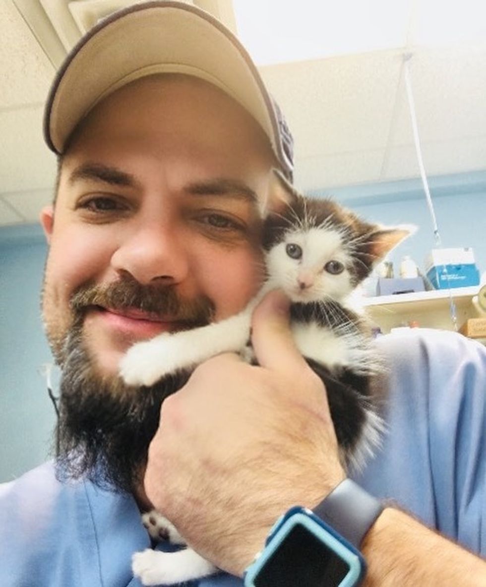 Man Has Best Job Where He Saves Cats and Kittens and Gives the ...