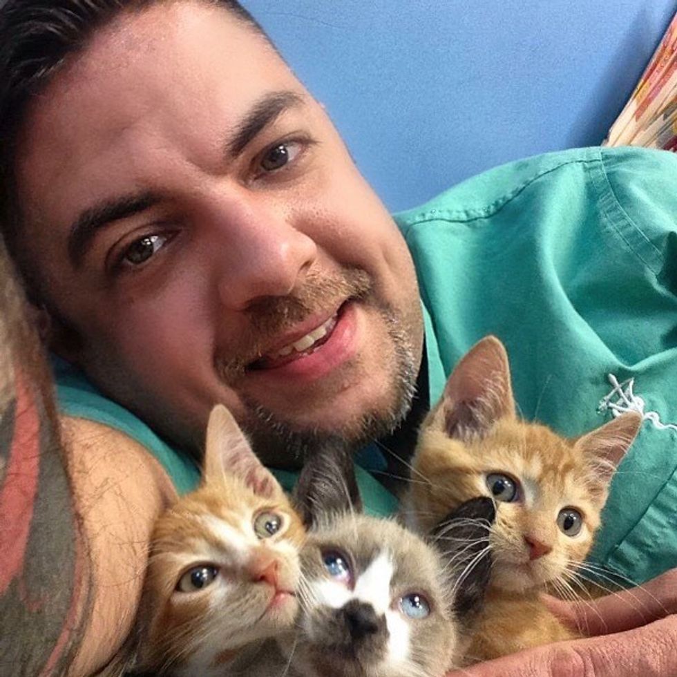 Man Has Best Job Where He Saves Cats and Kittens and Gives the ...