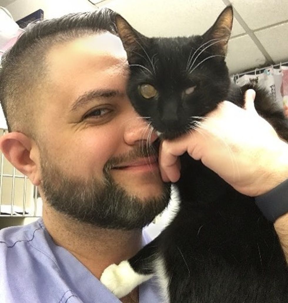 Man Has Best Job Where He Saves Cats and Kittens and Gives the ...