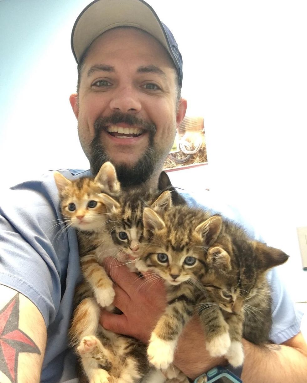 Man Has Best Job Where He Saves Cats and Kittens and Gives the ...