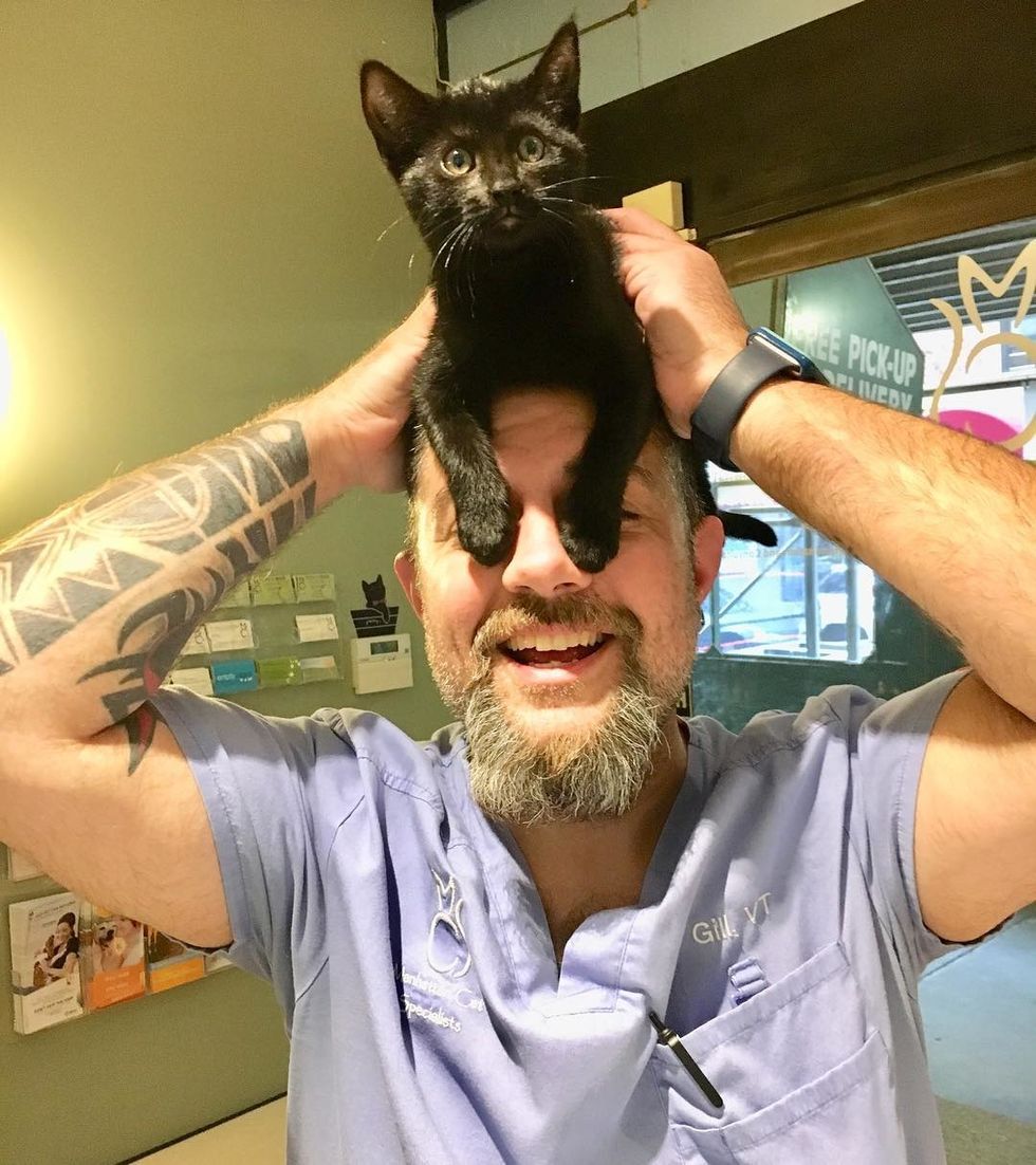 Man Has Best Job Where He Saves Cats and Kittens and Gives the ...