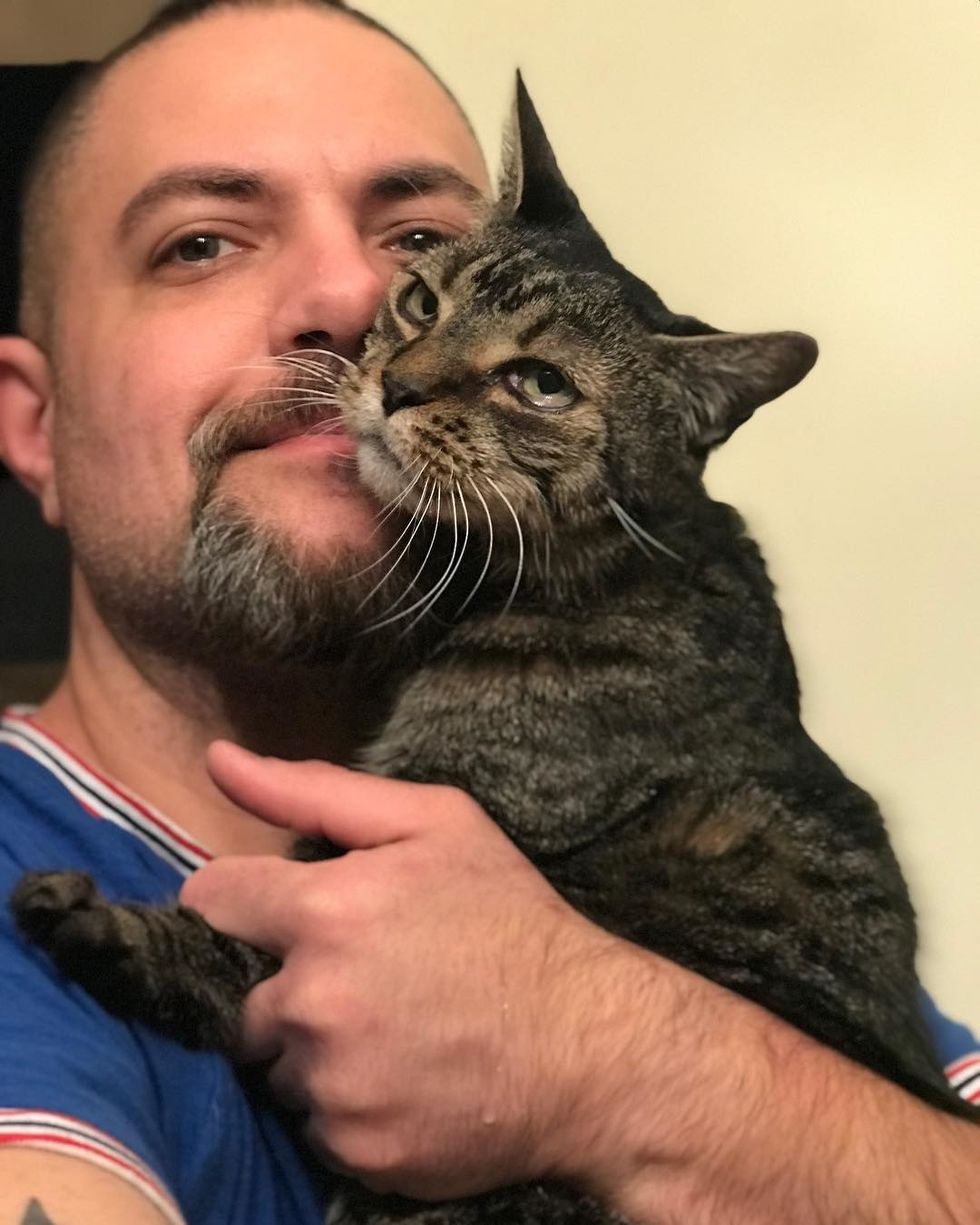 Man Has Best Job Where He Saves Cats and Kittens and Gives the ...