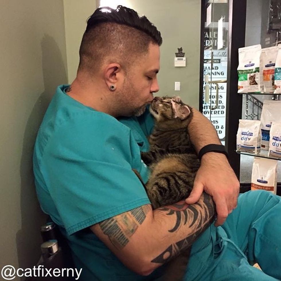 Man Has Best Job Where He Saves Cats and Kittens and Gives the ...