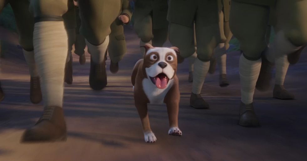 A Stray Dog Named Stubby Was The Most Decorated Dog Of WWI Americas a-stray-dog-named-stubby-was-the-most-decorated-dog-of-wwi-americas