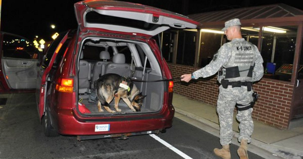 6 crazy things MPs have found during vehicle inspections - Americas ...