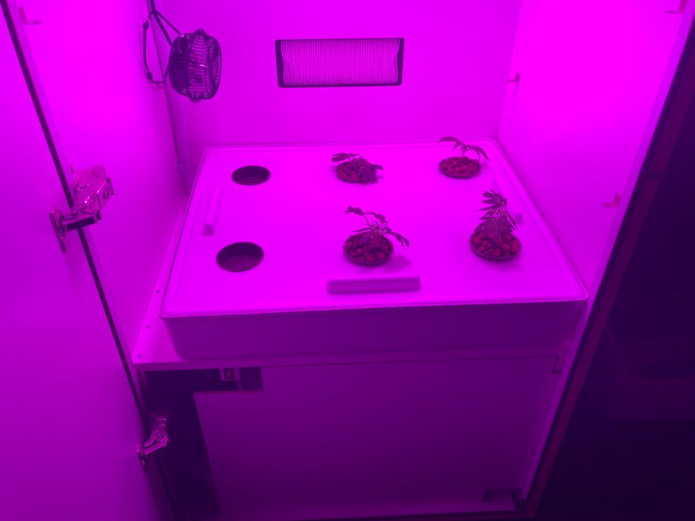 Cloudponics GroBox: Internet of weed is here for just $2490 - Gearbrain