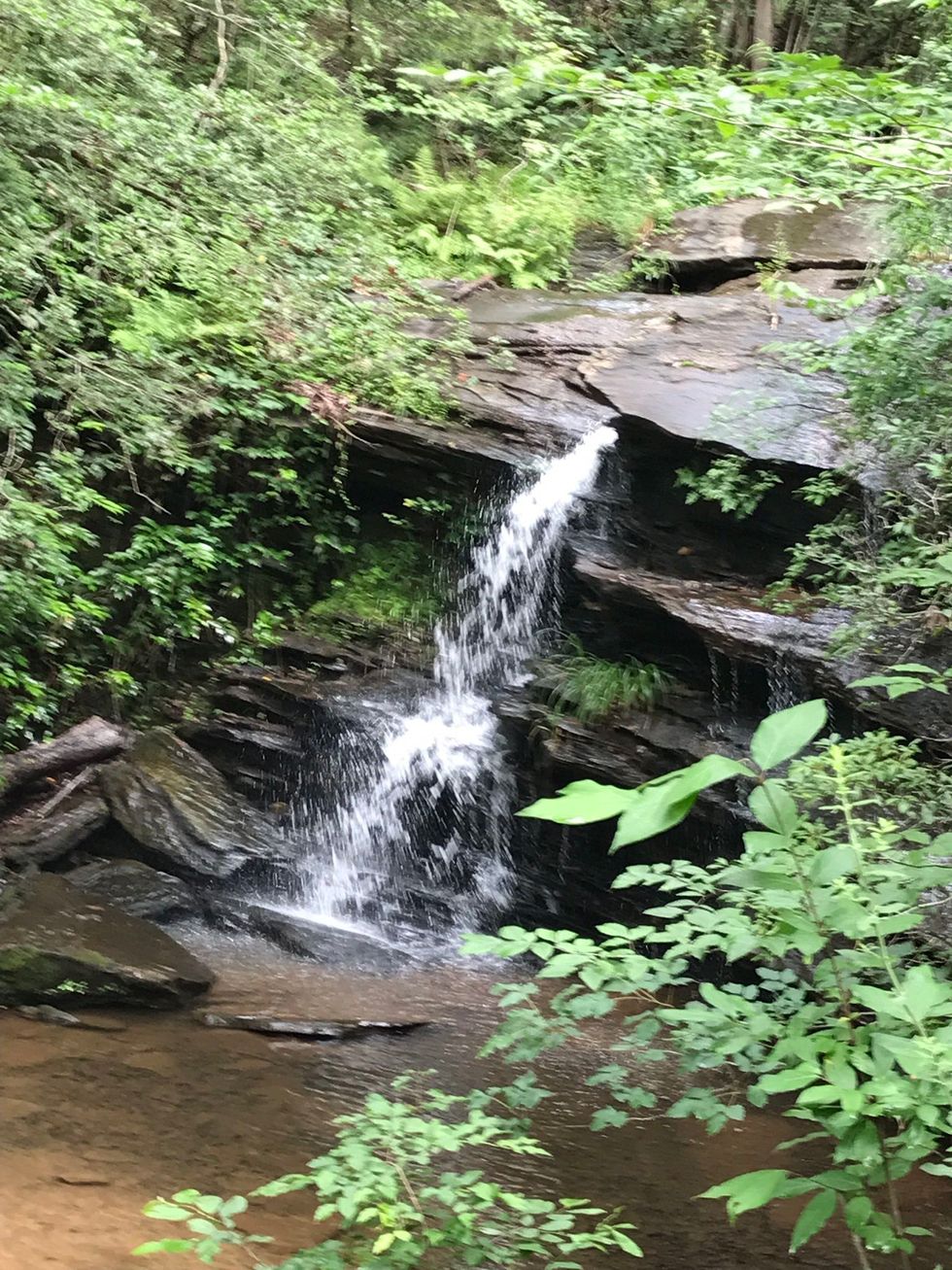 10 Best Hiking Trails Around Clemson For Those Looking For Experiences ...