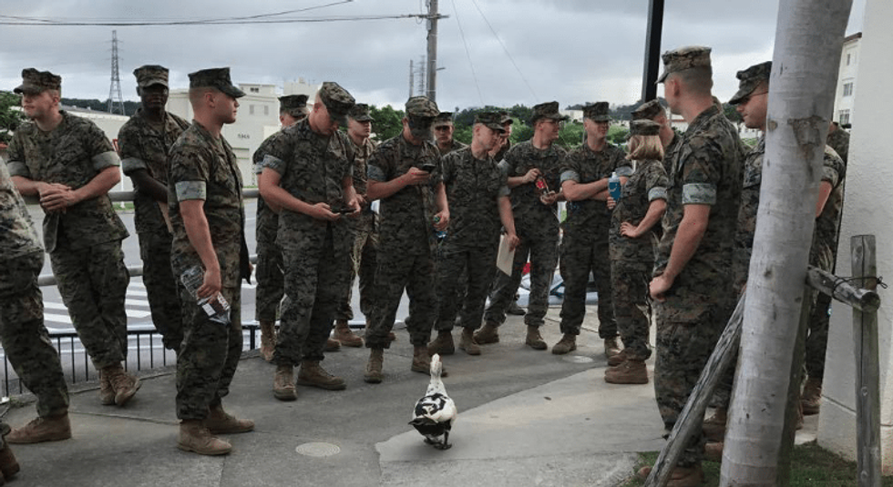 7 different types of POGs you'll meet on mainside - Americas Military ...