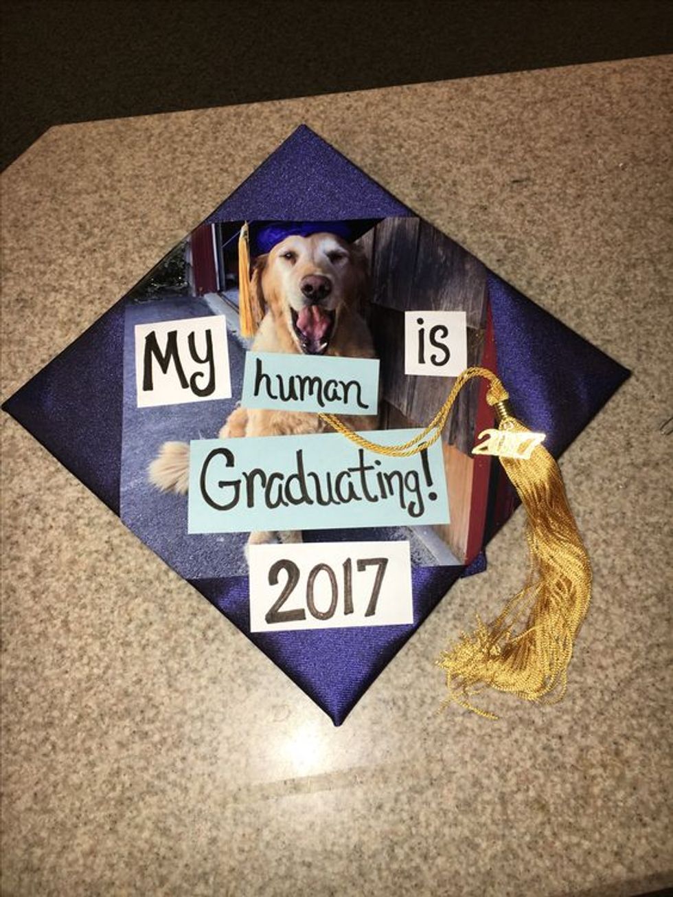 18 Extremely Creative Graduation Cap Ideas