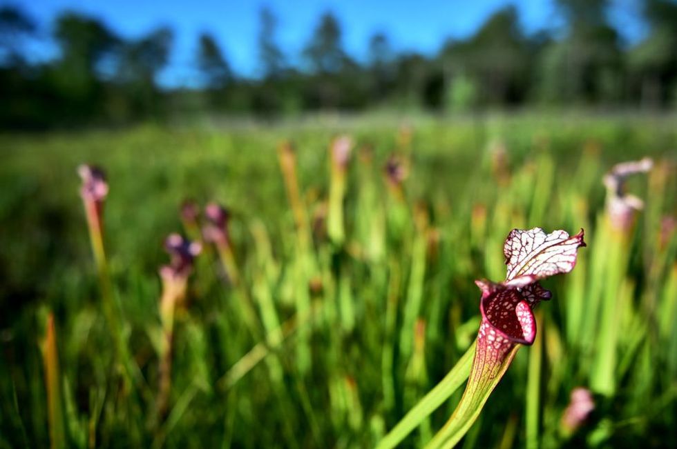 Photos that prove the South is the most beautiful place in the world ...
