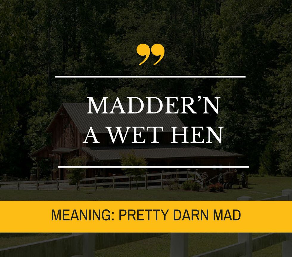 15 colorful Southern phrases and their origins - It's a Southern Thing