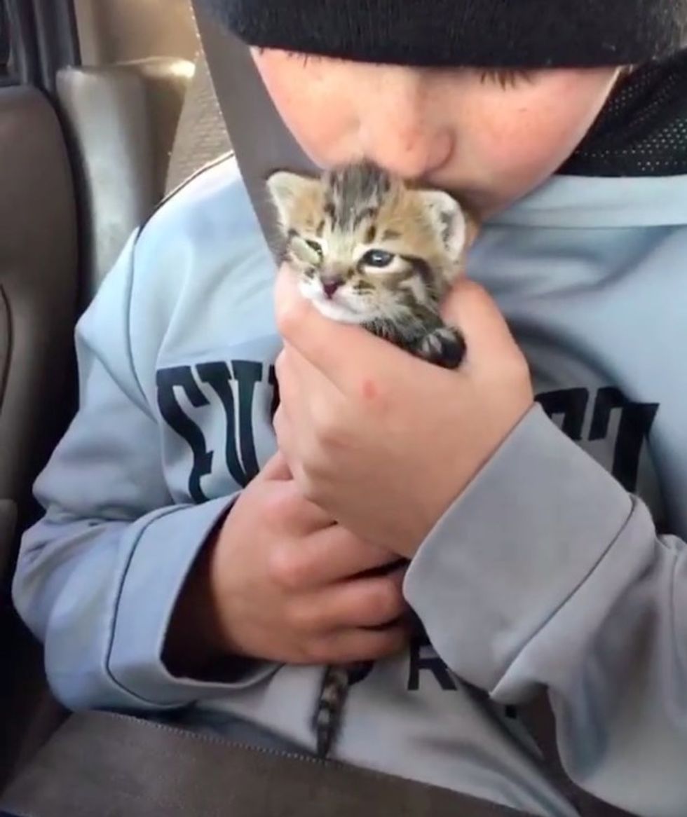 10-year-old Boy Calms Crying Abandoned Kitten and Finds Her a New Cat ...
