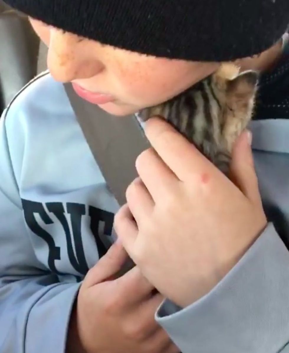 10-year-old Boy Calms Crying Abandoned Kitten and Finds Her a New Cat ...