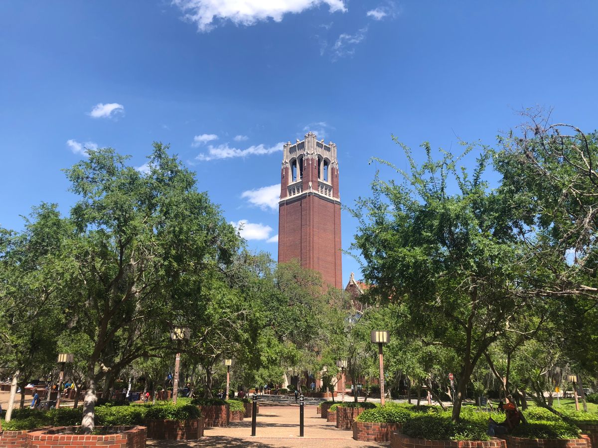 If You're Hanging Around UF For The Summer, You Should Add These 10 ...