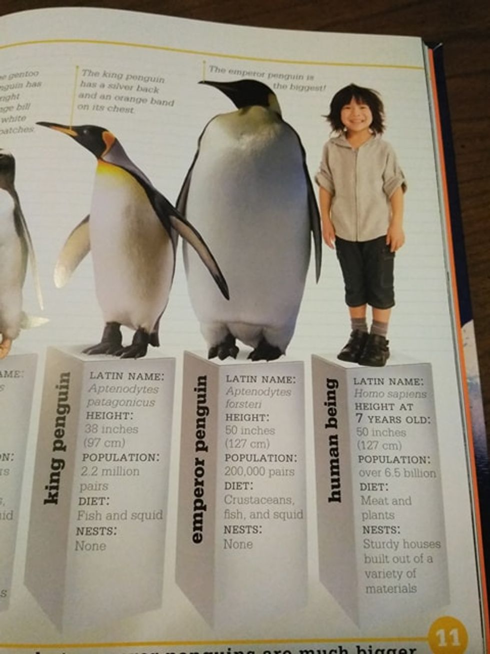 Holy Giant Penguin!