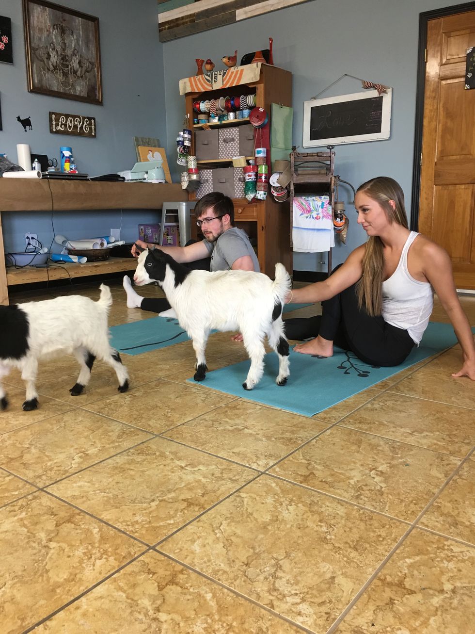 11 G.O.A.T Goat Puns To Caption Your Goat Yoga Instagram Post With