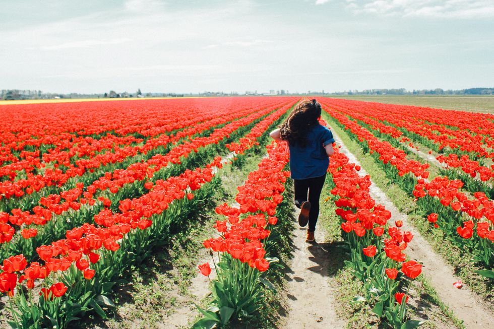 9 Ways To Tell It's Spring In The Pacific Northwest, Even If The ...