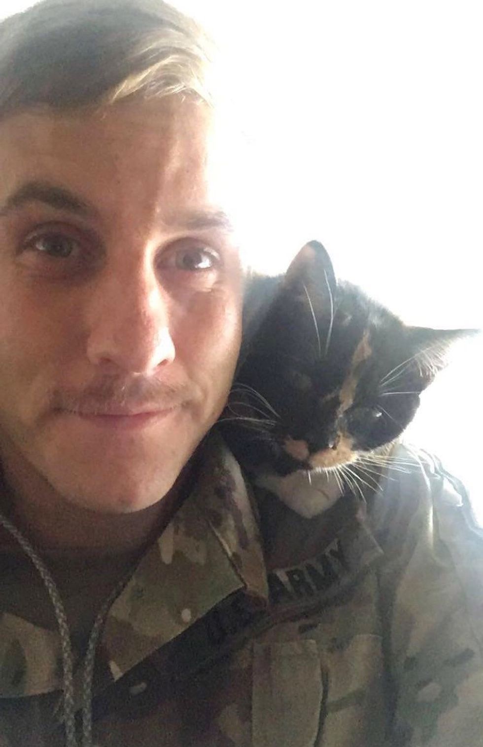 Man Who Was Never Cat Guy, Went to Adopt Dog But Ended Up Getting ...