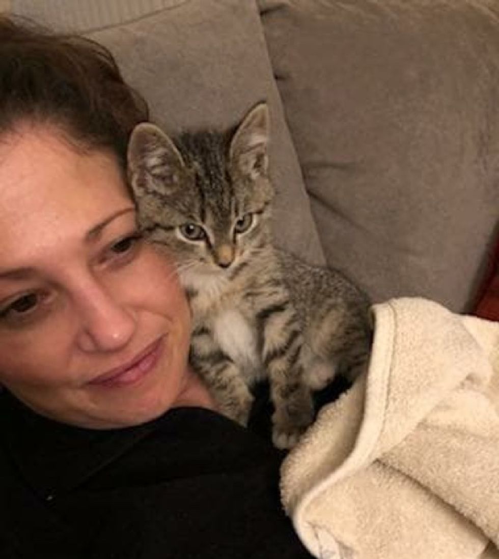 Frightened Kitten Saved from Busy Street, Finds Someone to Love and Won ...