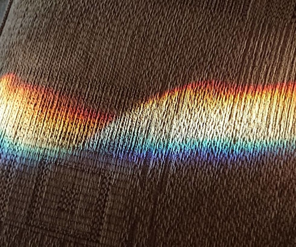 How Animals See Colors Compared to Humans