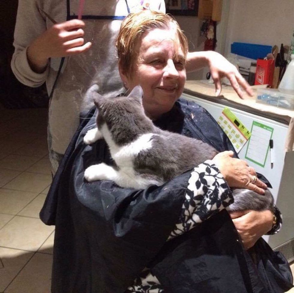 Woman Saves 3 Kittens that No One Wanted and Raises Them into ...