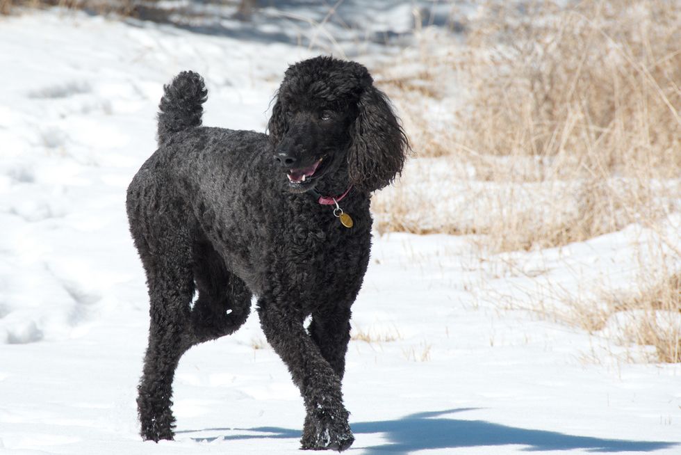 7 Reasons Why Hercules Is The Best Disney Movie