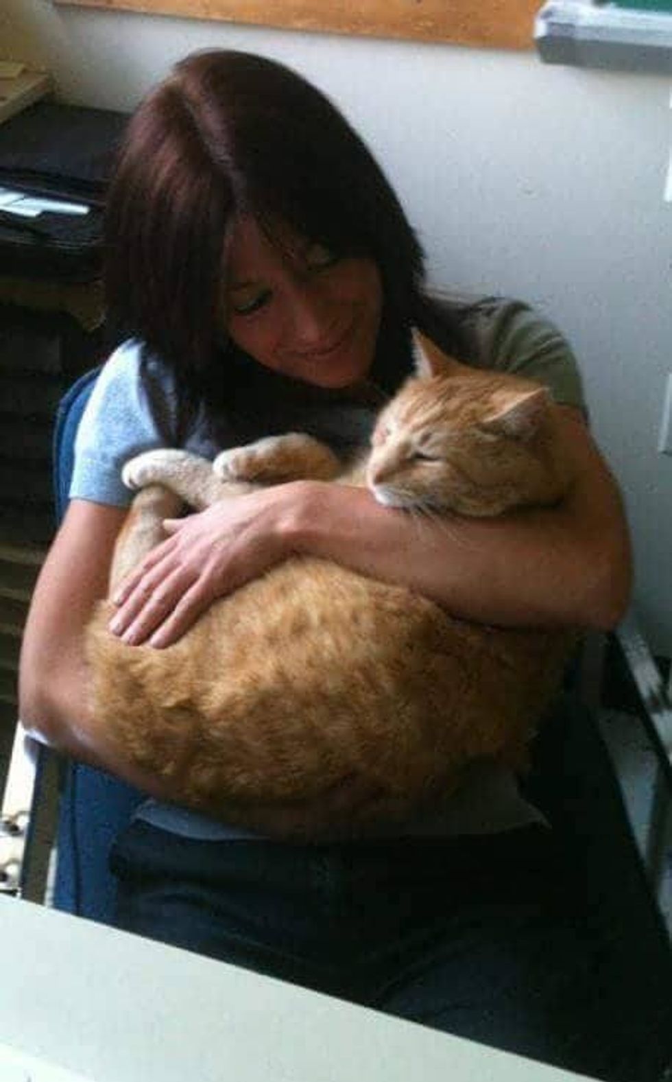 Cat Went to School for Almost 20 Years, Offering Students Comfort, Left ...