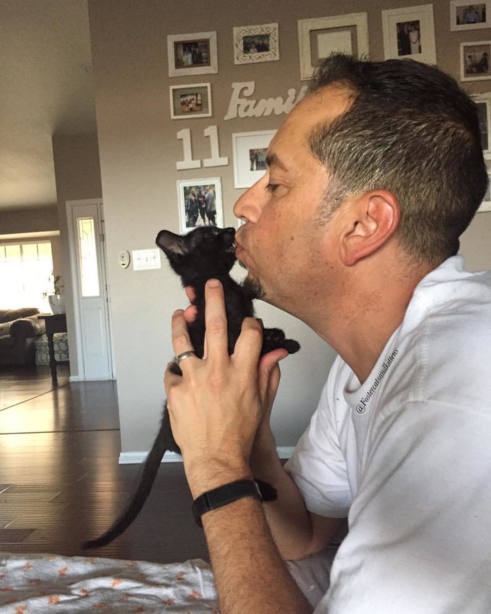 Kitten with Special Needs Clings to Foster Dad for Love After He was ...