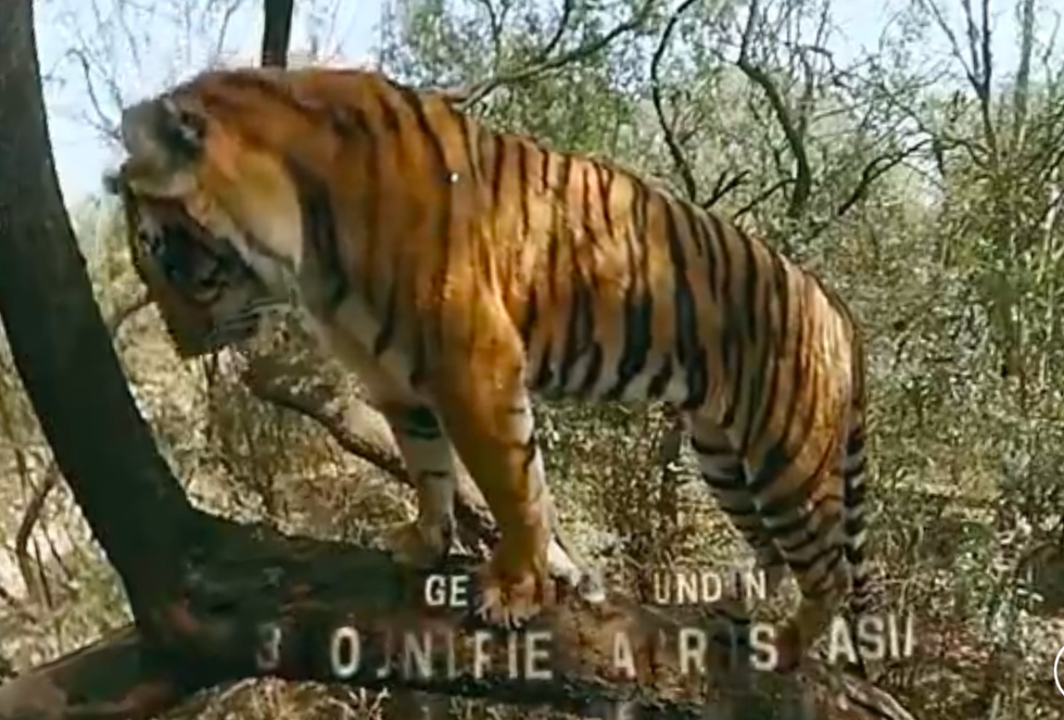 7 Best VR Field Trips for Students, Teachers and Parents - Gearbrain