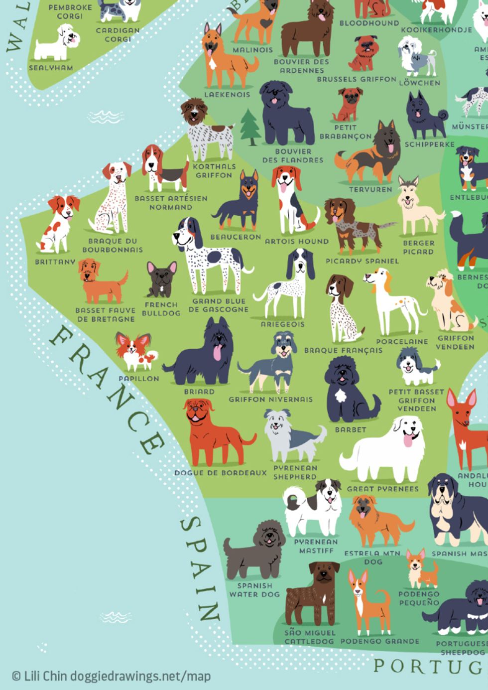 Over 40% of all officially registered dog breeds originate in Britain ...