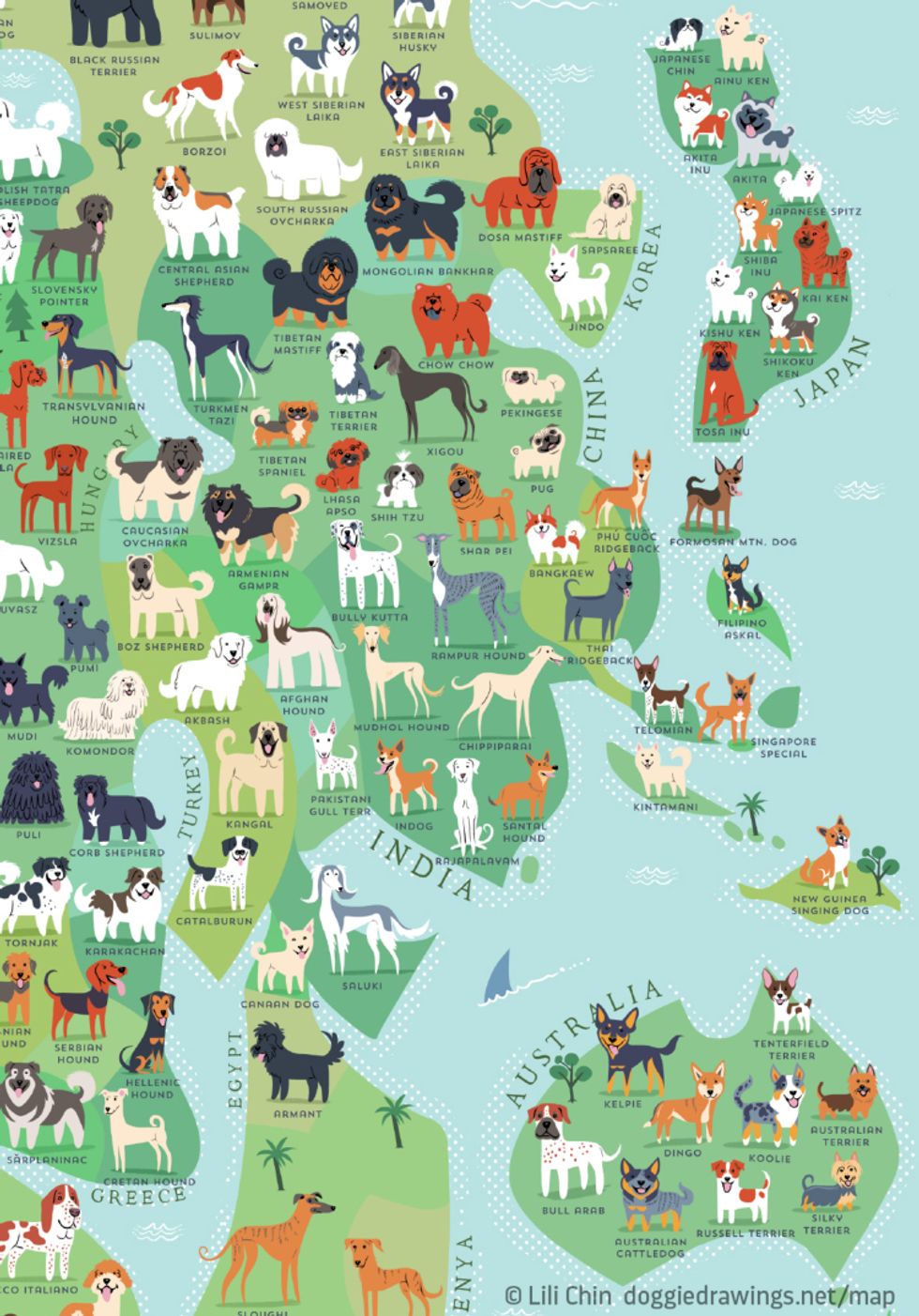 Over 40% of all officially registered dog breeds originate in Britain ...