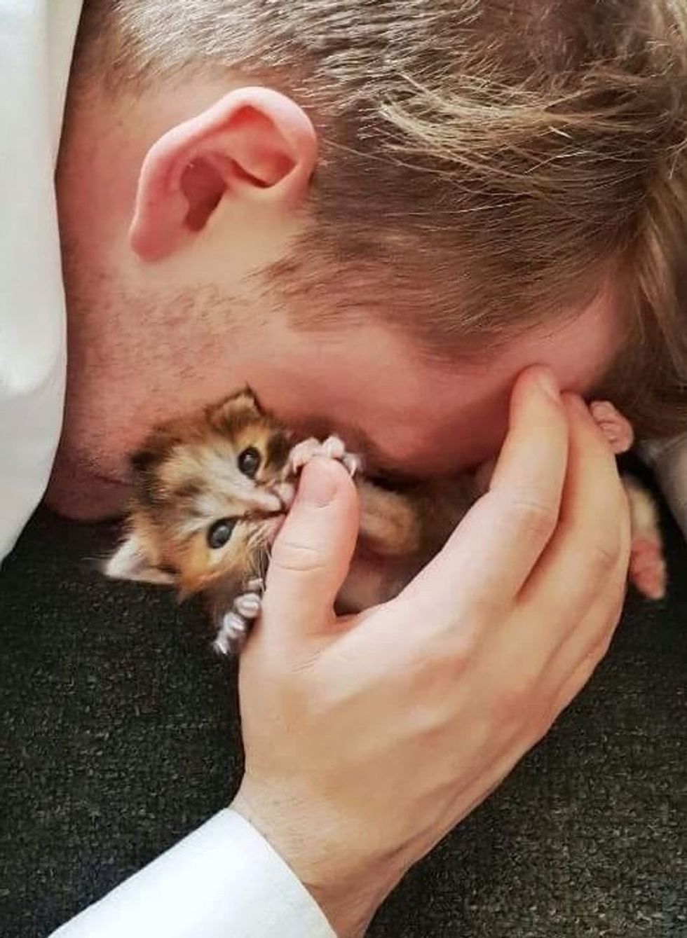 Preemie Kitten Rejected by Cat Mom, Finds Love in Family that Saves Her ...